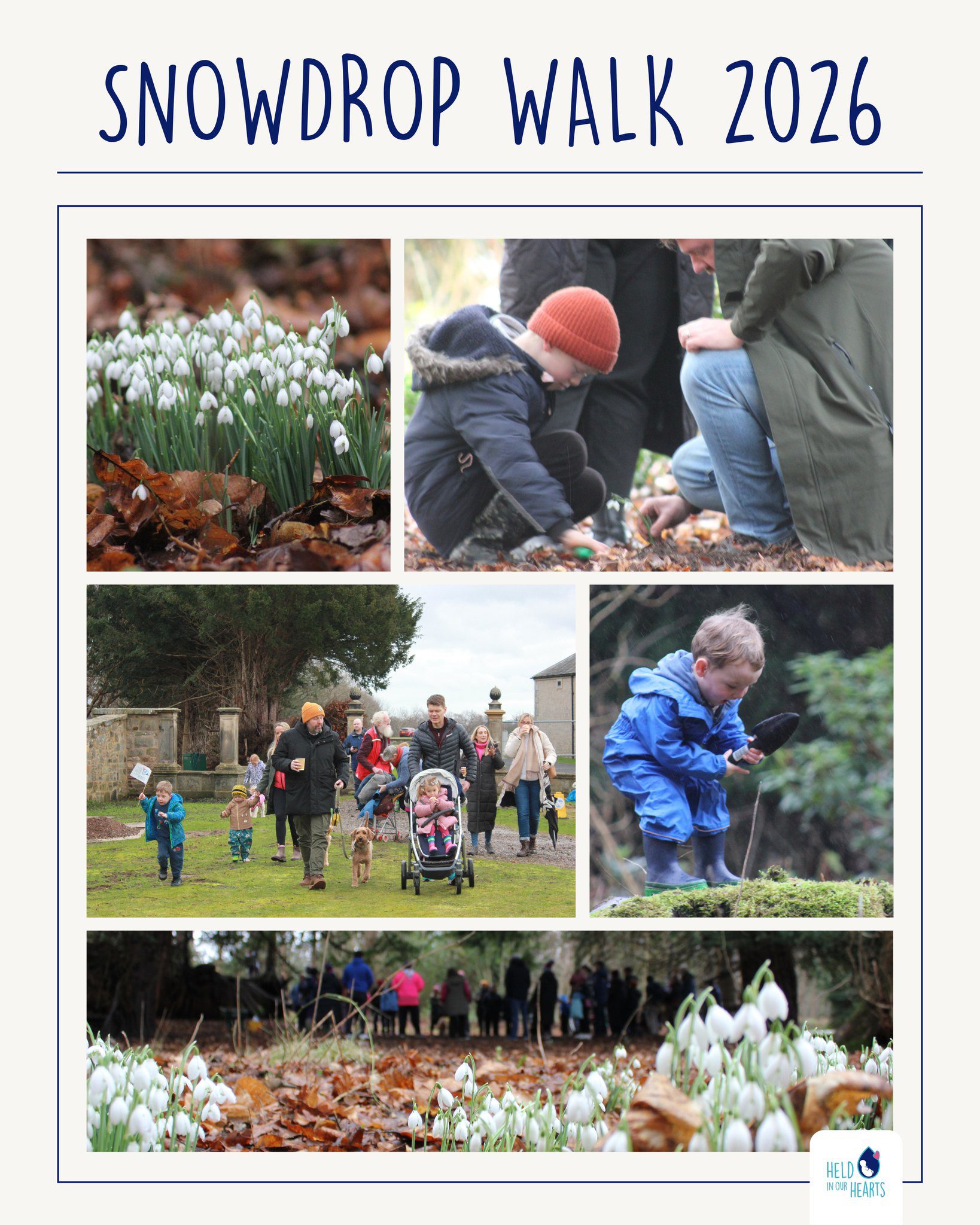 Annual Snowdrop walk; 2026 - Held In Our Hearts